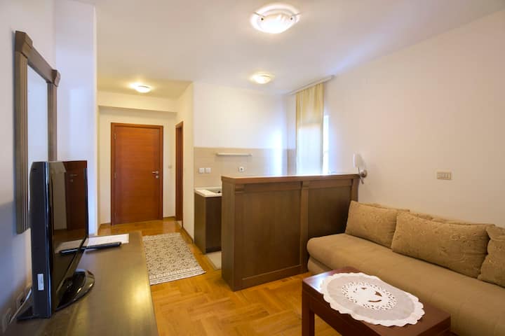 City Center Apart. 14, Few Minutes From The Beach - Budva