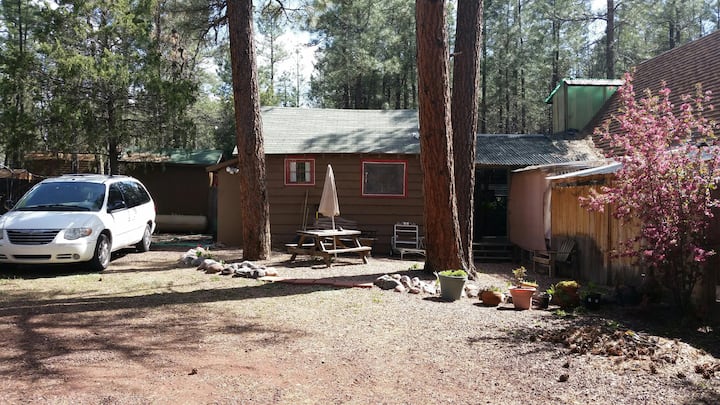 Small Pet-friendly, Private, Furn Cabin Pinetop - Pinetop-Lakeside, AZ