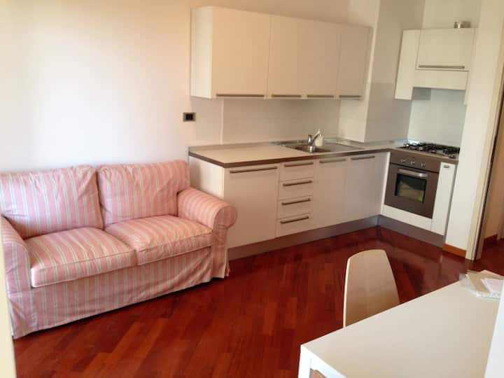 Manager  Home Monza   Mz14 - Monza