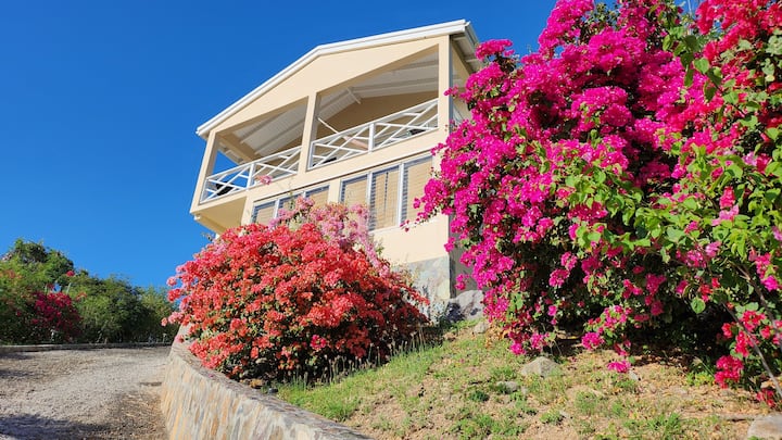 Renovated Studio With Views Near Beach - East End