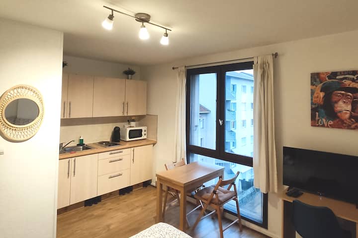#Dg ♥Studio Grenoble Superbe Vue Montagnes ♥ - Grenoble