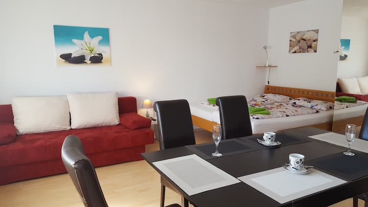 Ferienwohnung-bruckenfeld, Privat - Kehl