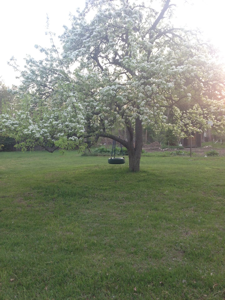Pear Blossom Cabin - Saugatuck, MI