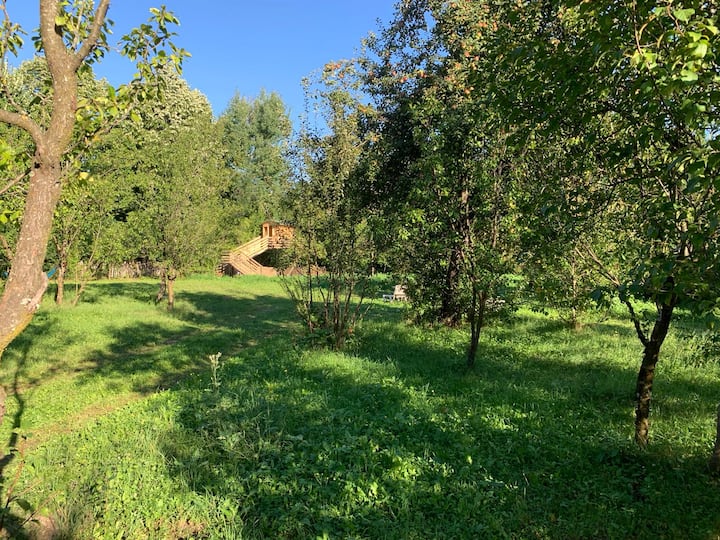 Pitaru's Camping Yard - Breaza