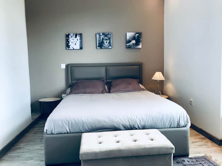Appartement Rodez Centre Ville - Rodez