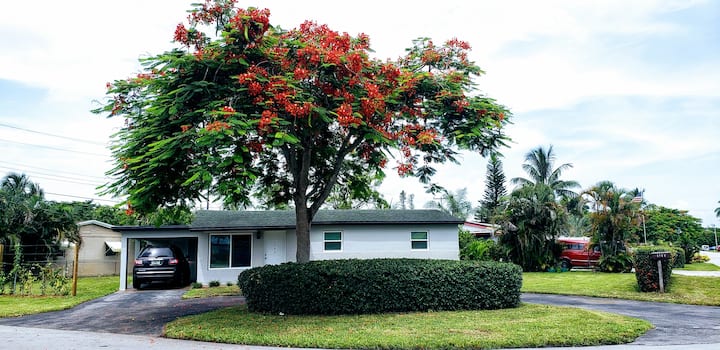 Modern Oasis By The Hard Rock Casino - Davie