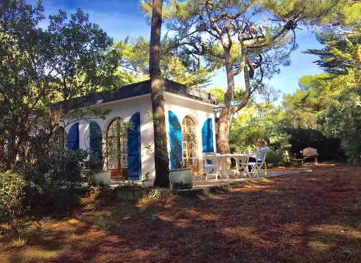 Villa à La Pointe Du Cap Ferret - Cap Ferret