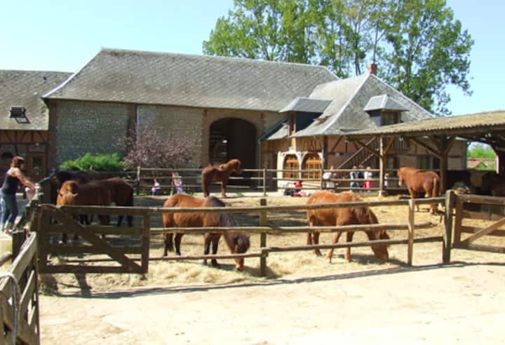 Gîte De Groupe Au Milieu Des Poneys - Seine-Maritime