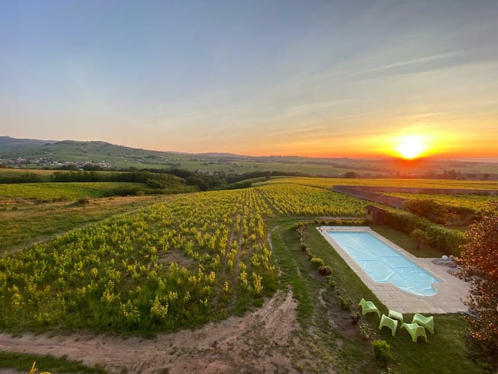 Au Cœur Des Vignes Moulin à Vent - Thoissey