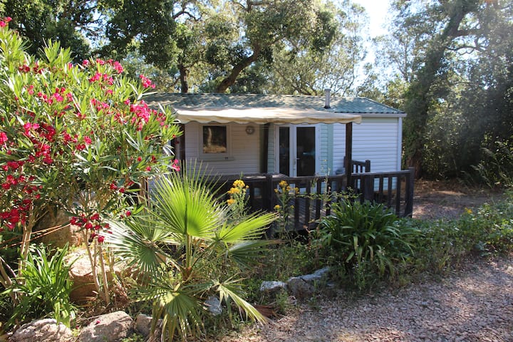 Mobil-home 2 Chambres à Porto Vecchio - Porto-Vecchio