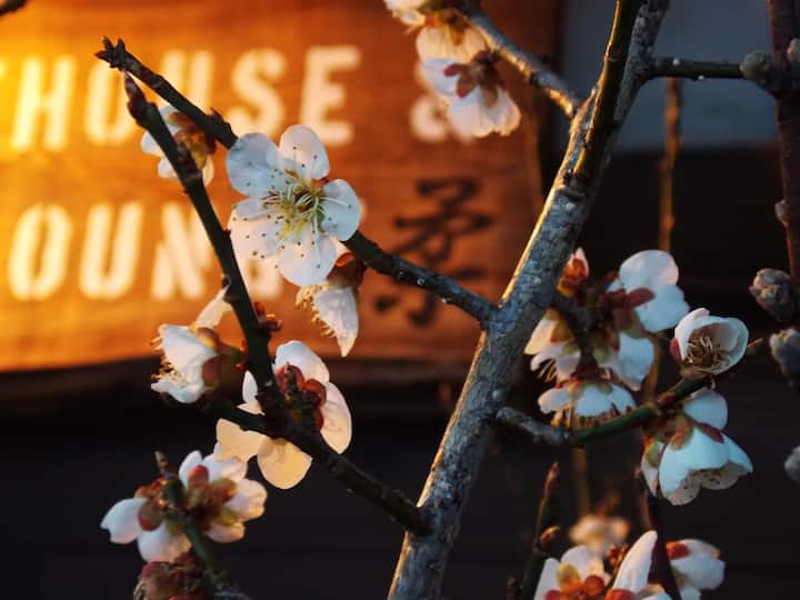 A 60 Year Renovate Guesthouse In Takahashi City - 오카야마현
