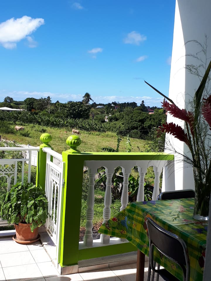 Chez Liline Zikak - Marie-galante - Guadeloupe - Marie-Galante