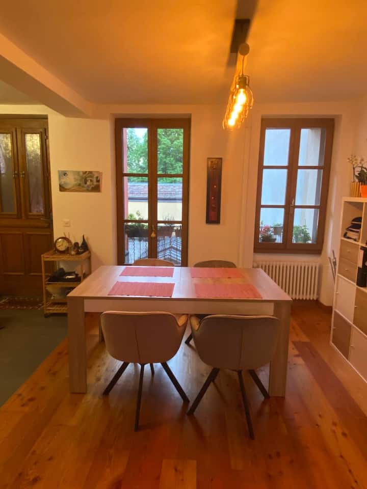 Havre De Paix Au Cœur De Genève - Plainpalais - Ginebra