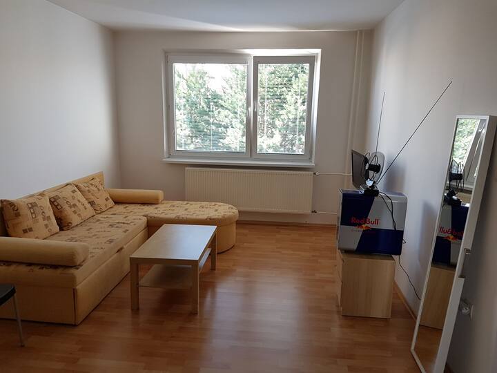 Apartmán S Výhľadom Na Vysoké Tatry - Nowa Leśna