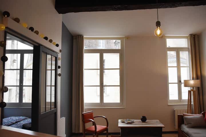 Appartement De Caractère Au Cœur De Périgueux - Périgueux