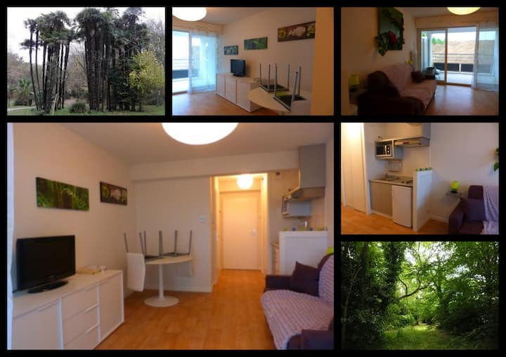 Jolie Studio De Vacances - Anglet