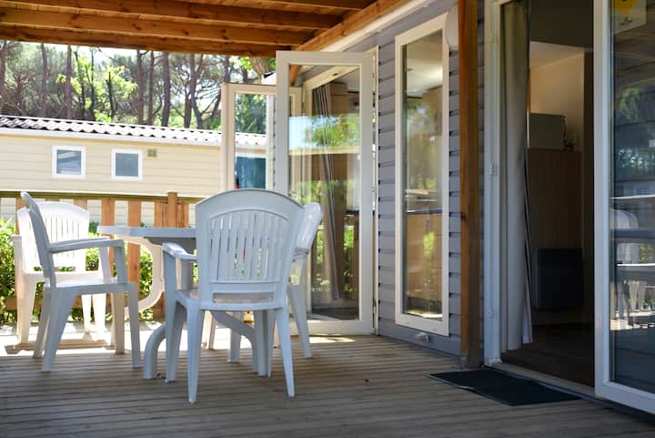 Lodge Comfort Dog  - Adriano Family Collection - Ravenne