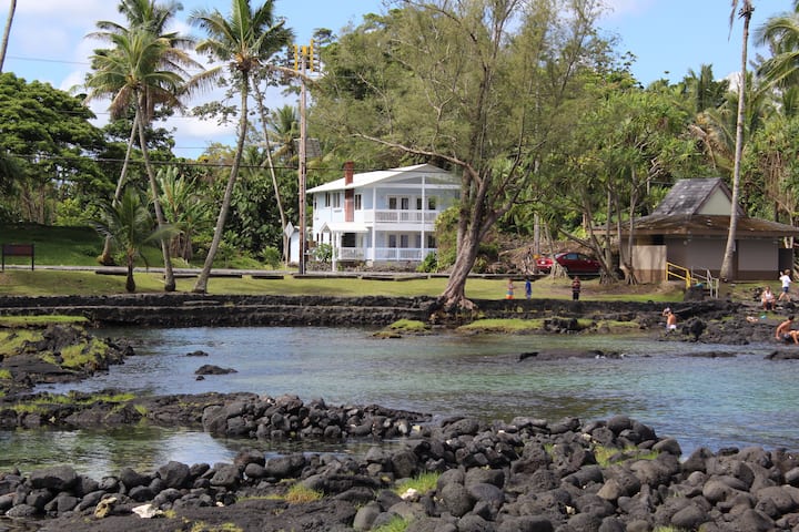 Newer Beach House In Hilo's Best Location. Turtles - Hilo, HI