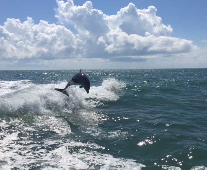 Clearwater Beach Oasis 2 - Clearwater, FL