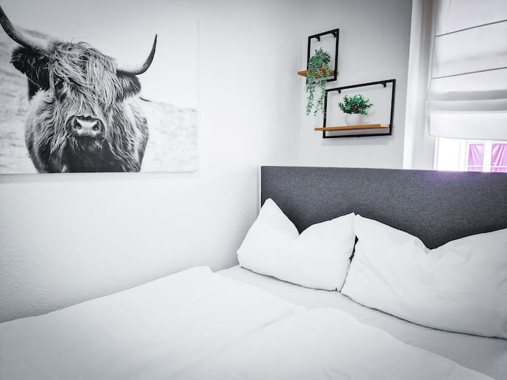 Großzügige Altstadtwohnung Lara Für 6 Personen - Weißenfels