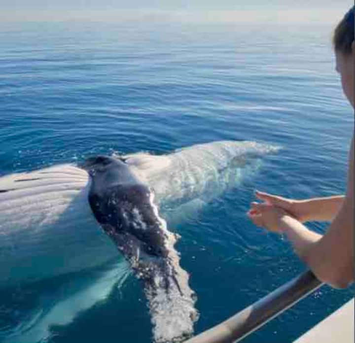 River Heads K'gari Fraser Island Adventure - Hervey Bay
