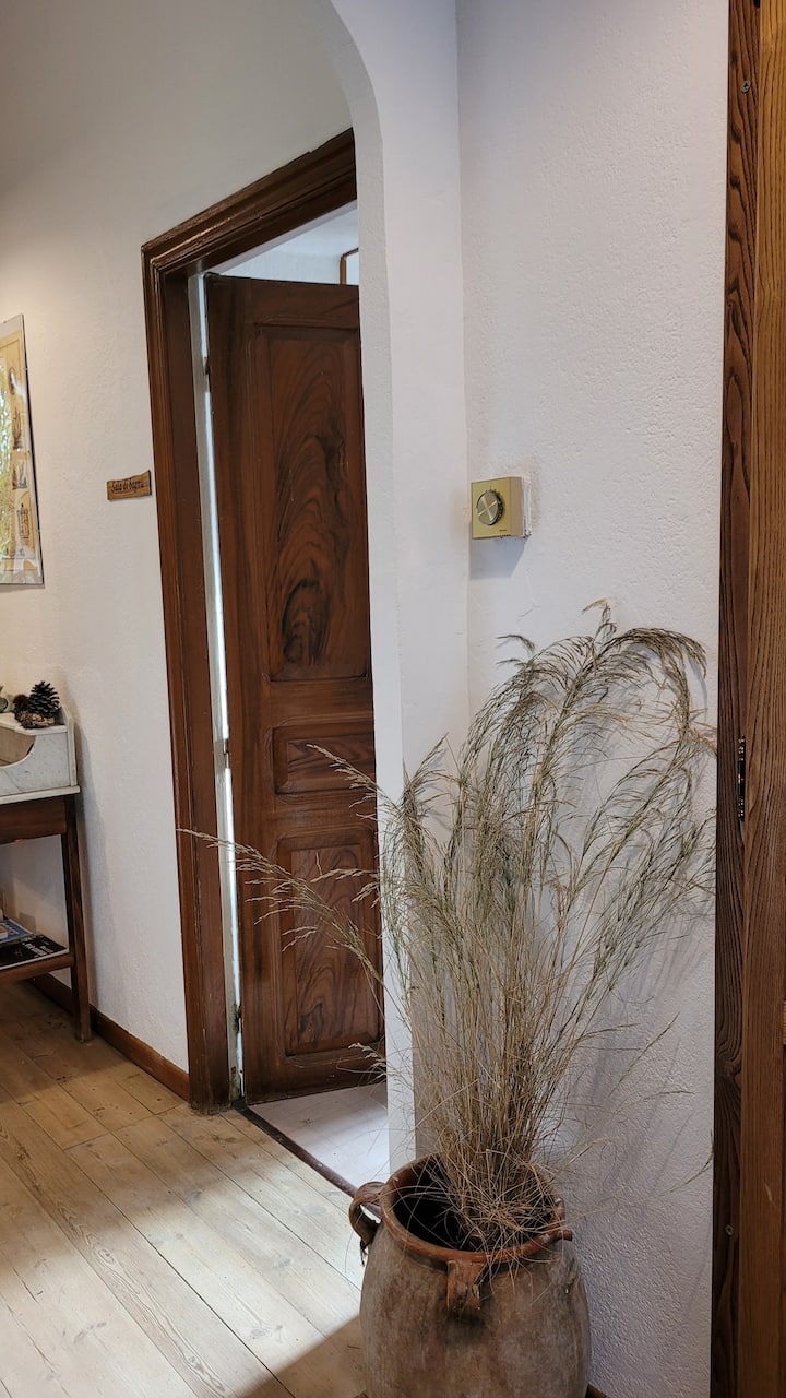 3 Chambres Dans Maison De Famille En Alta Rocca - Corse-du-Sud