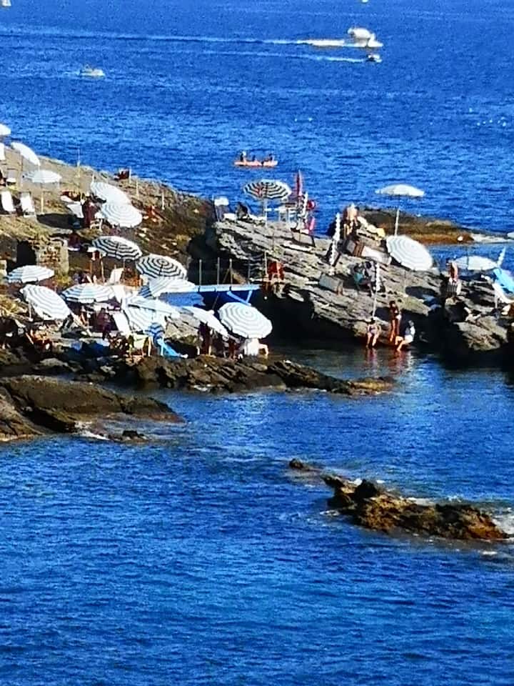 Mare, Parco, Residence Vittoria - Bogliasco