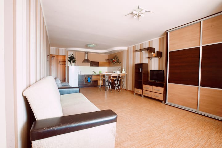 Апартаменты Саквояж Большая Подгорная 57 - Томск