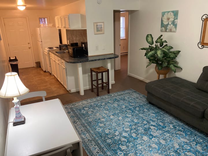 Affordable Monthly Apt. By The Bay (#6) - Norfolk, VA