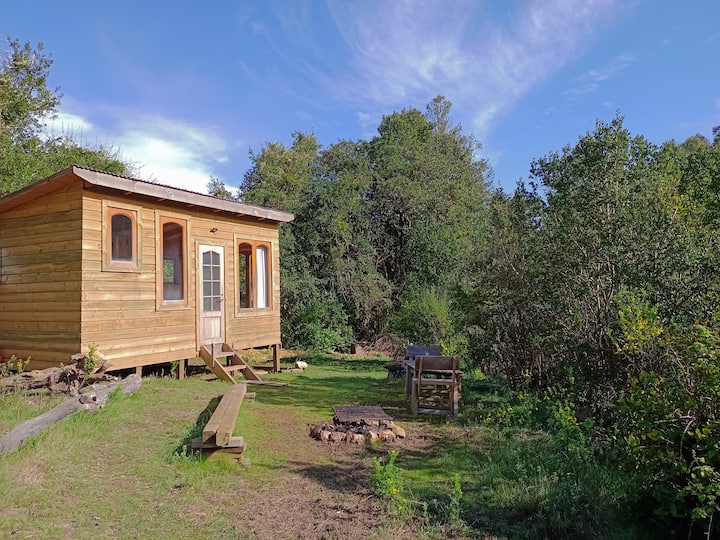 Casita Bosque Nativo Campo Y Mar - Región de Maule, Chile