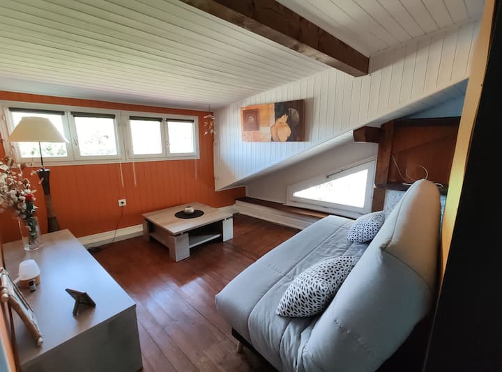 La Petite Maison Neuvecelle - Maison De Village - Évian-les-Bains