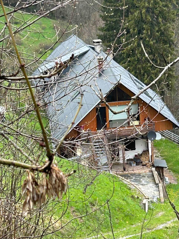 Appartement Dans Un Chalet à La Montagne - Albiez-Montrond