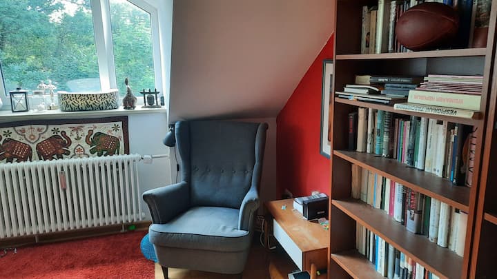 Schöne Gemütliche Und Helle Wohnung. - Munich