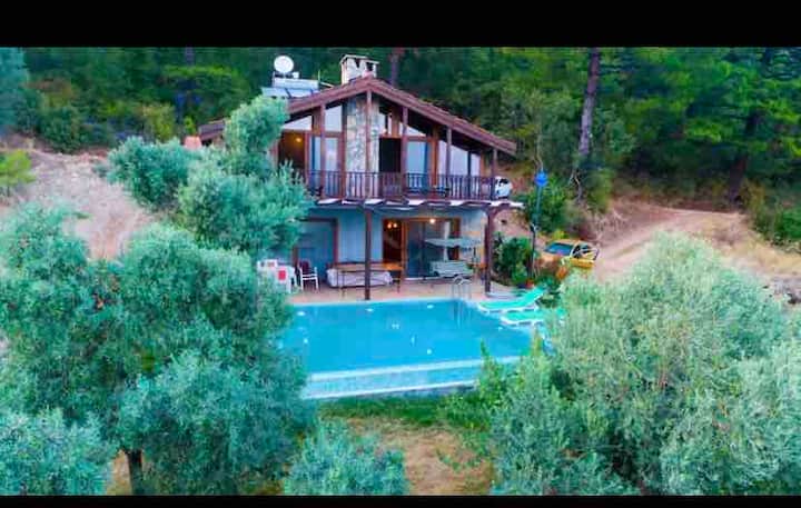 Villa Olive Mit Pool - Akyaka