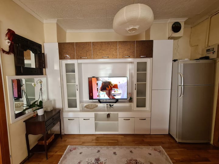 Comfortable Apt. Very Good Location 2 Bedroom - Istanbul