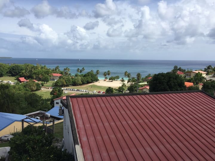 Vue Panoramique Sur La Anse Figuier - Martinique