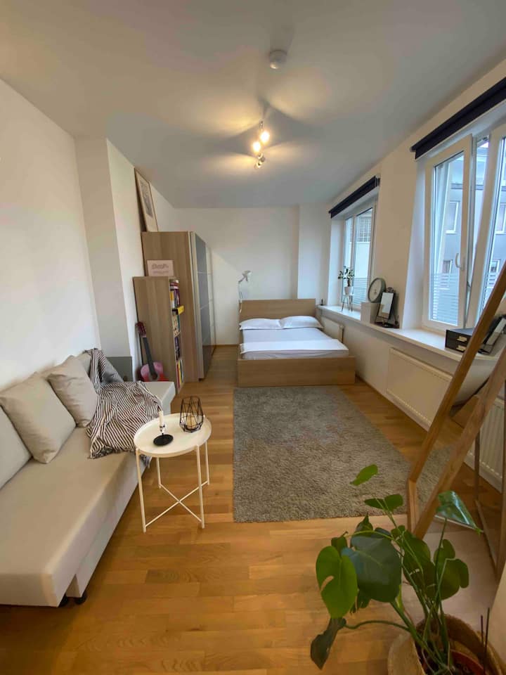 Apartment In Vienna - Vienna