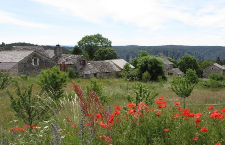 Gîte De Cassagnes  Parc National Des Cévennes - Gorges du Tarn
