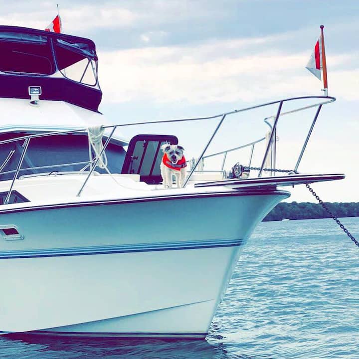Instagramable Private Yacht Experience - Orillia