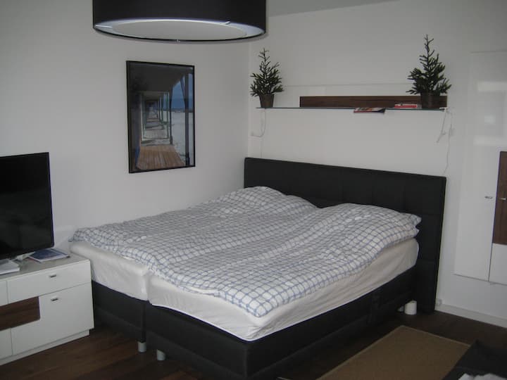 1 Zi App 35 Qm, Balkon - Munich