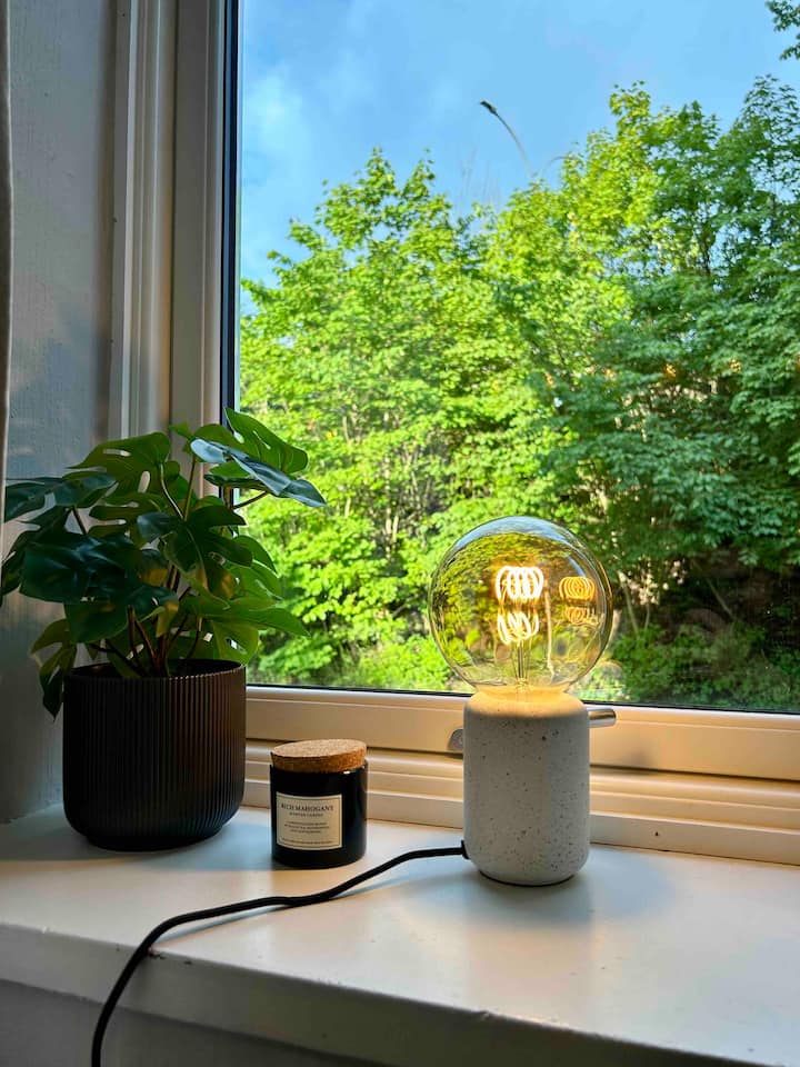 Cozy Studio,full Kitchen & Easy Access To Downtown - Oslo