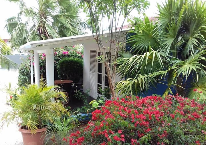 ★ Studio Catootje - Centrally Located ✔ - Curaçao