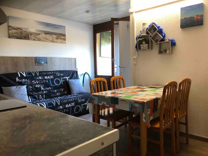 Bisca Plage 2 Chambres 4 Pers 2 Terrasses Parking - Biscarrosse Plage