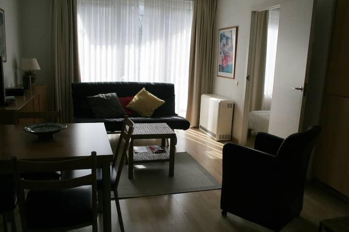 Cozy Apartment In Center - Brussels