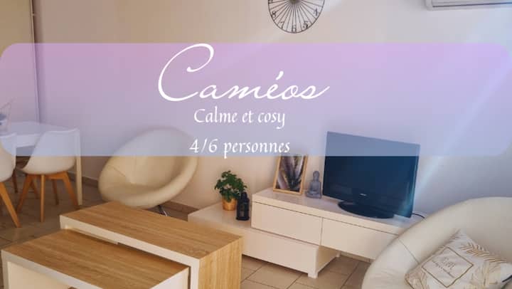 Caméos - Appartement Avec Terrasse Locairbi - Vendargues