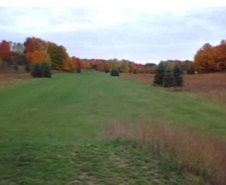 Site #3 - Torch Lake, MI