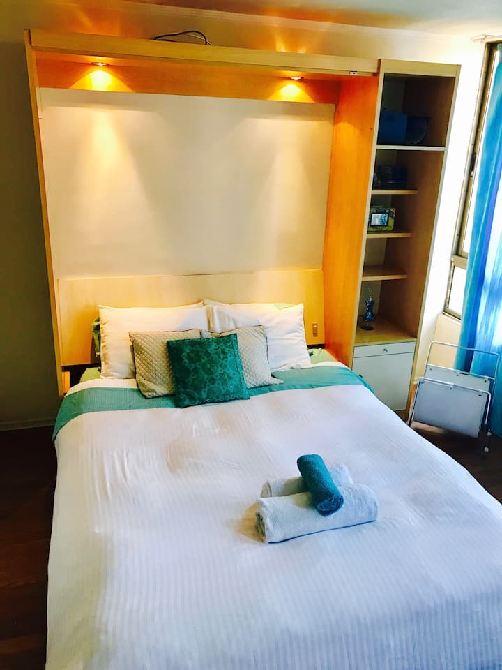 Cozy Studio In Downtown Santiago - Santiago