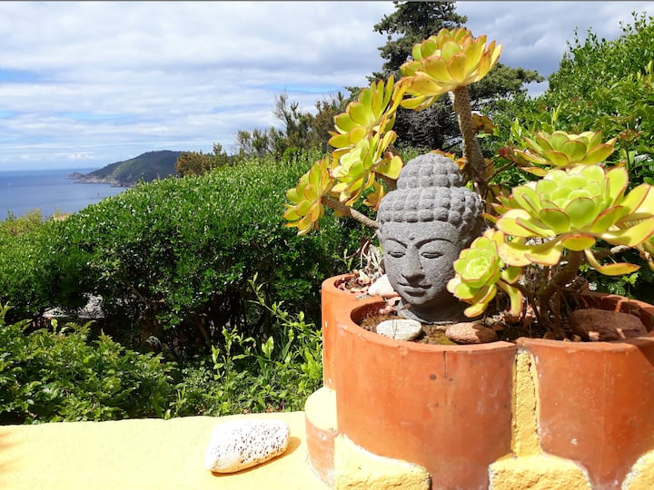 ÎLe Du Levant: "L'arbre De Vie" Vue Mer - Parc national de Port-Cros