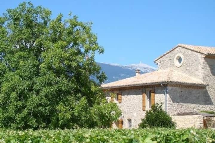 Le Mas Des Pigeonniers - Mazan