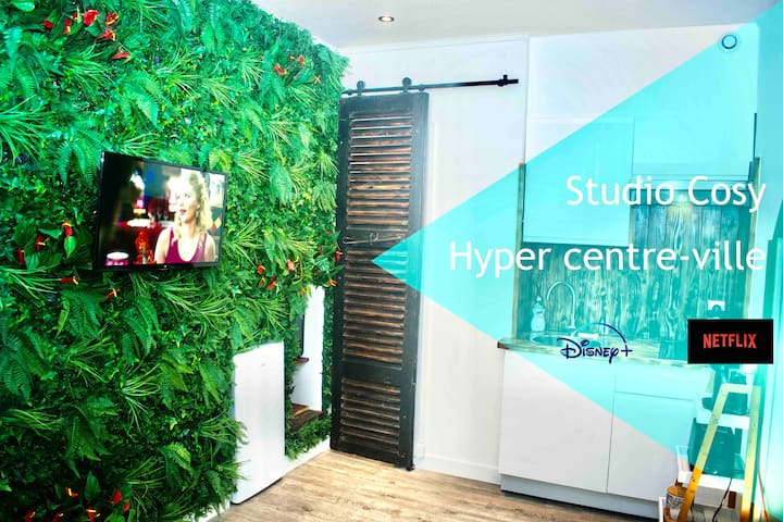 Studio Jungle Style Hyper Centre-ville - Pau